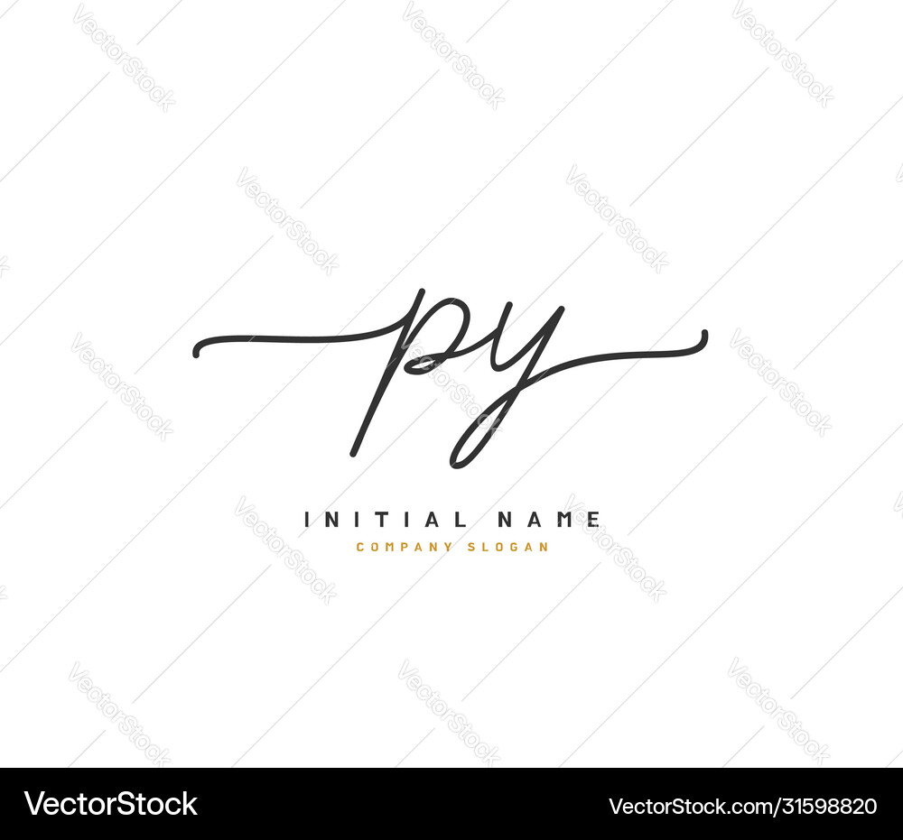 P y py beauty initial logo handwriting logo Vector Image