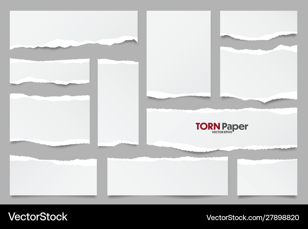 White ripped paper strips collection realistic Vector Image