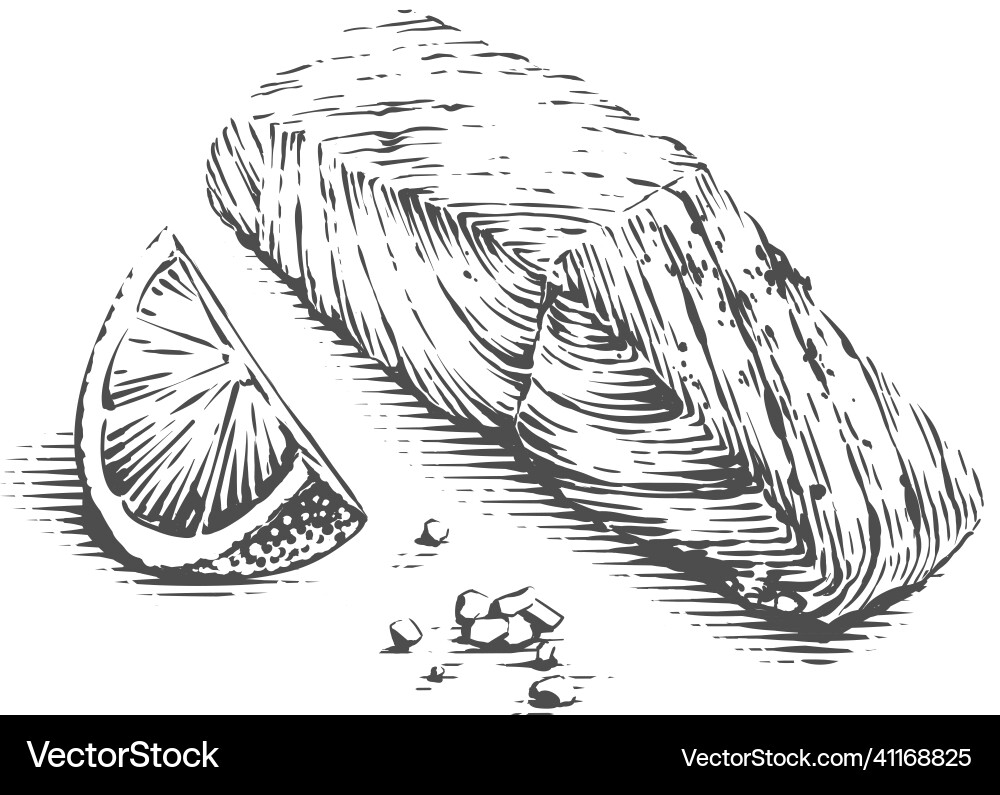 Fish steak hand drawing sketch engraving Vector Image