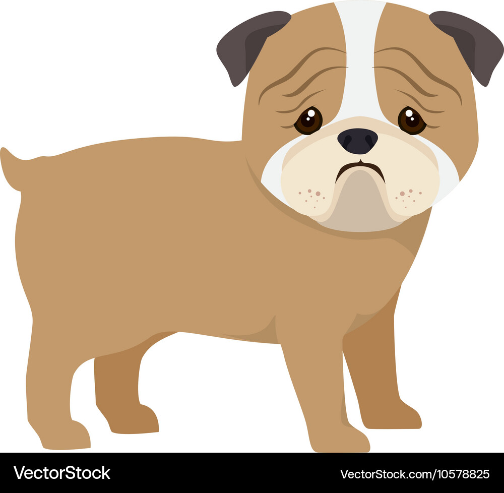 Pug dog cartoon Royalty Free Vector Image - VectorStock