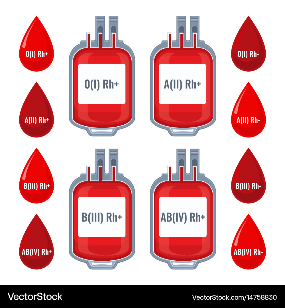 Drops with typed blood groups and donating donor Vector Image