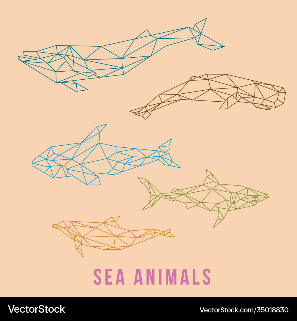 Sea animal with triangle polygonal style Vector Image