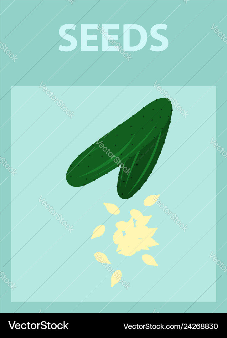 Seed pack icon Royalty Free Vector Image - VectorStock