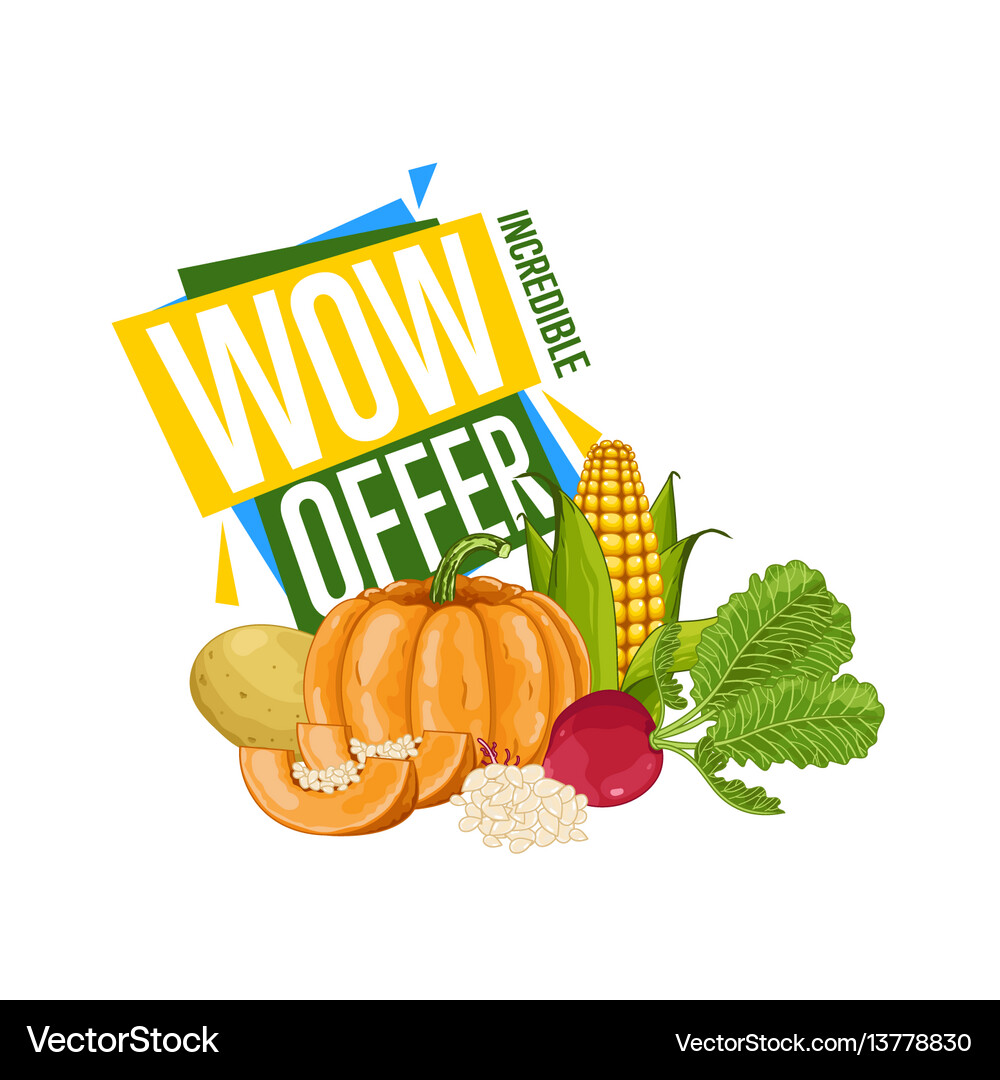 Wow offer discount poster with fresh vegetable Vector Image