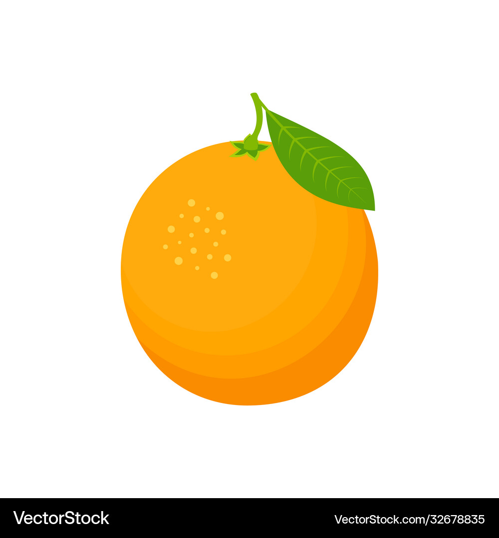 Fresh cartoon orange isolated on white background Vector Image
