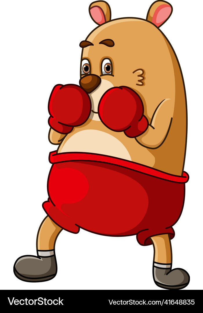 Strong wombat playing the boxing and ready Vector Image