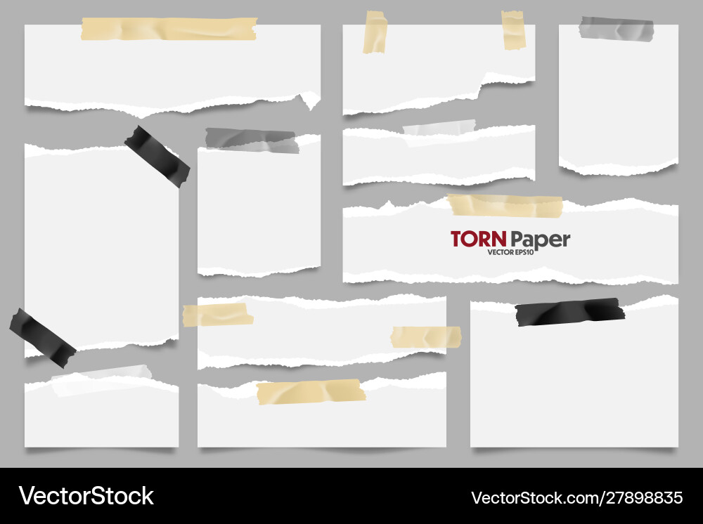 White ripped paper strips collection realistic Vector Image