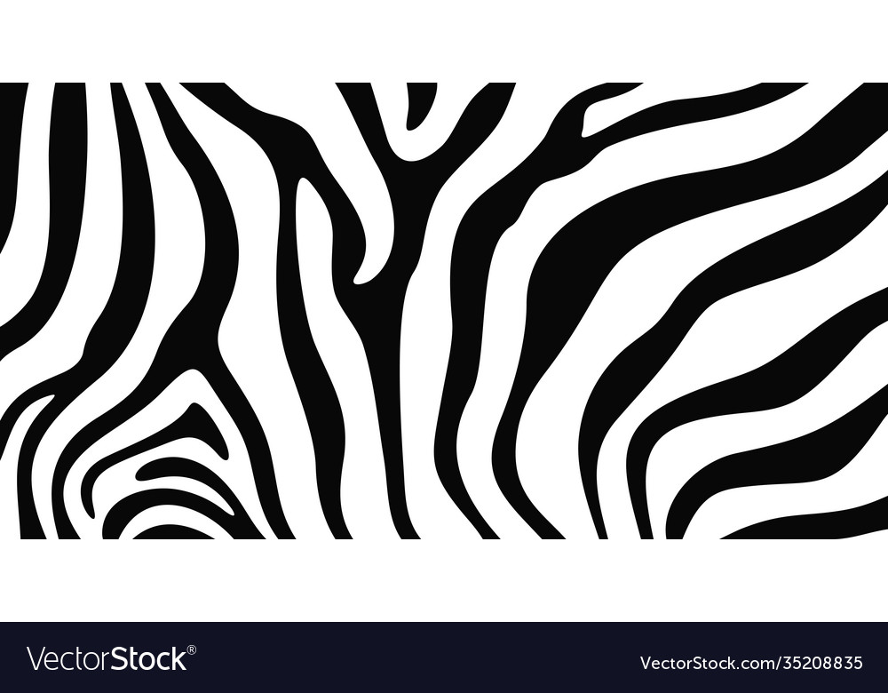 Zebra texture Royalty Free Vector Image - VectorStock