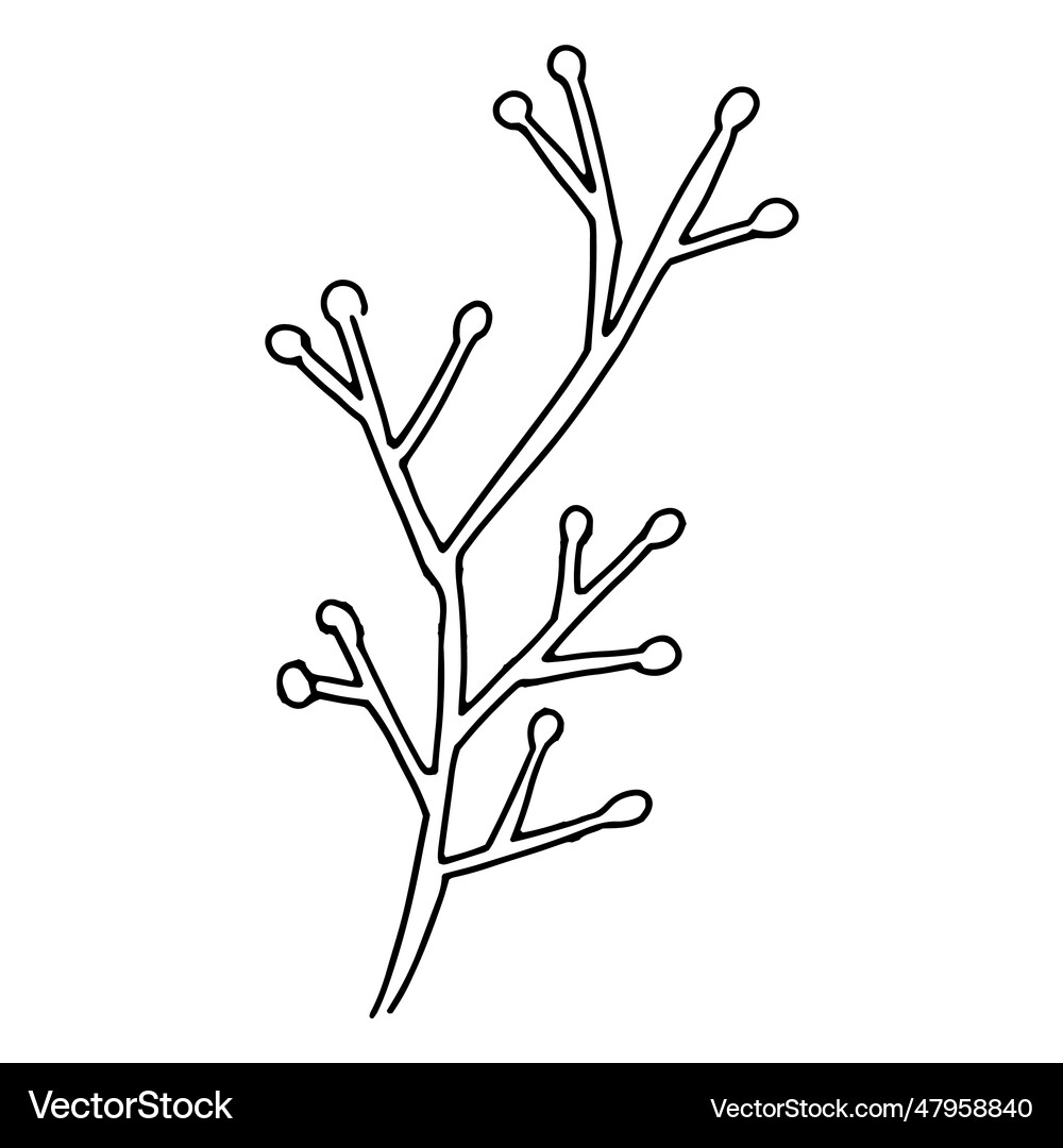 Branch natural line art Royalty Free Vector Image