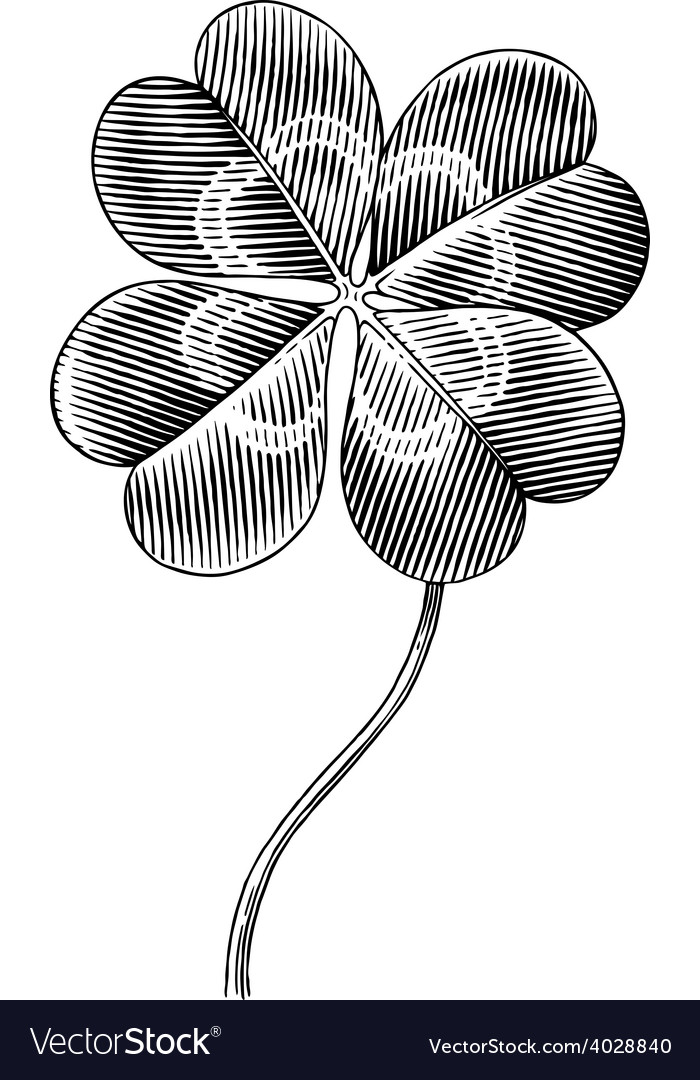 Clover Royalty Free Vector Image - VectorStock