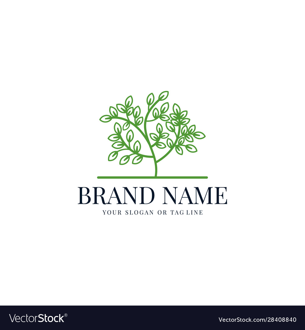 Creative tree logo Royalty Free Vector Image - VectorStock