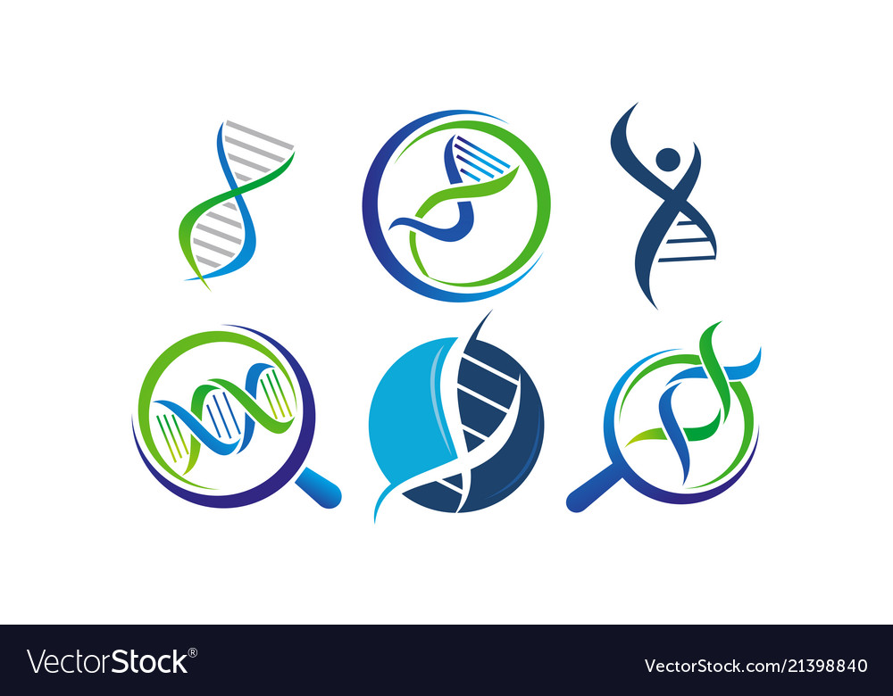 Dna genetics template set Royalty Free Vector Image