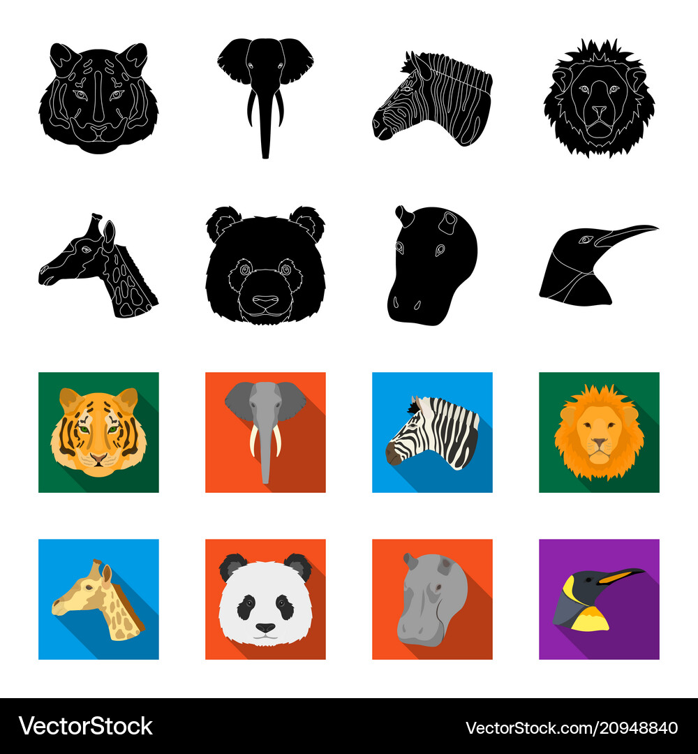 Panda giraffe hippopotamus penguin realistisch Vektorbild