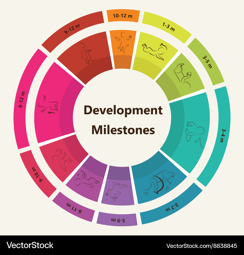 Children pyramid for infographic child Royalty Free Vector