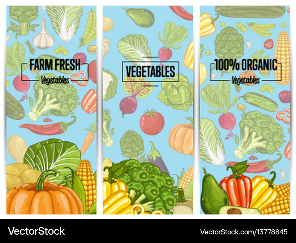 Organic vegetable farming flyers set Royalty Free Vector