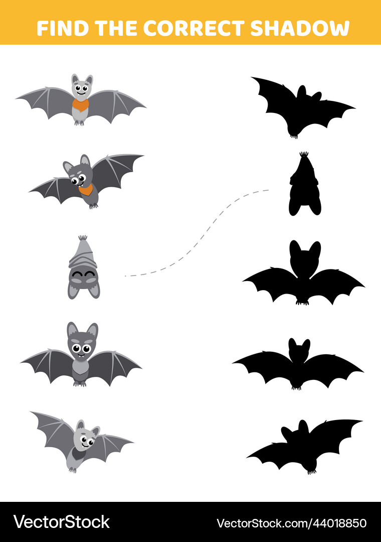 Bats find the correct shadow halloween shadow Vector Image