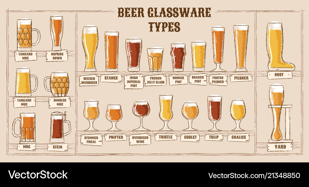 Beer types a visual guide to types of beer Vector Image