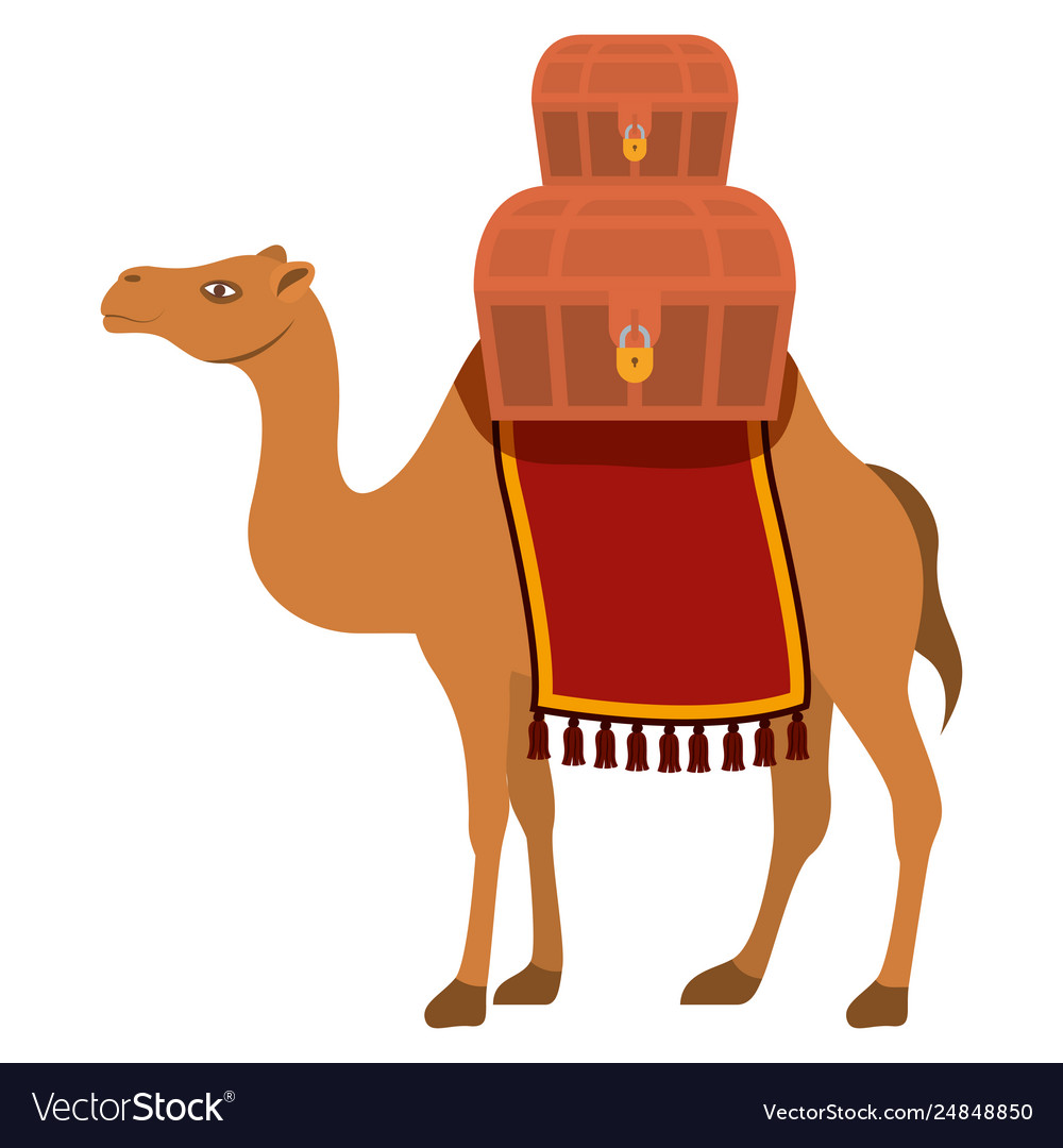 Cute camel desert animal Royalty Free Vector Image