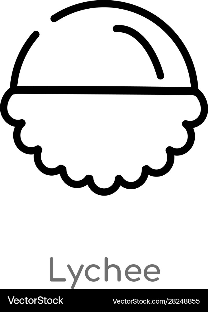 Outline lychee icon isolated black simple line Vector Image
