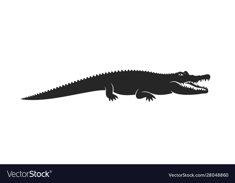 Crocodile Royalty Free Vector Image - VectorStock