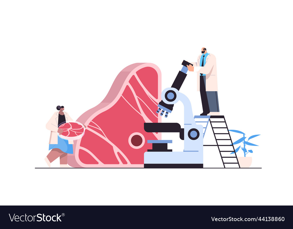 Scientists analyzing cultured red raw meat made Vector Image Scientists analyzing cultured red raw meat made Vector Image