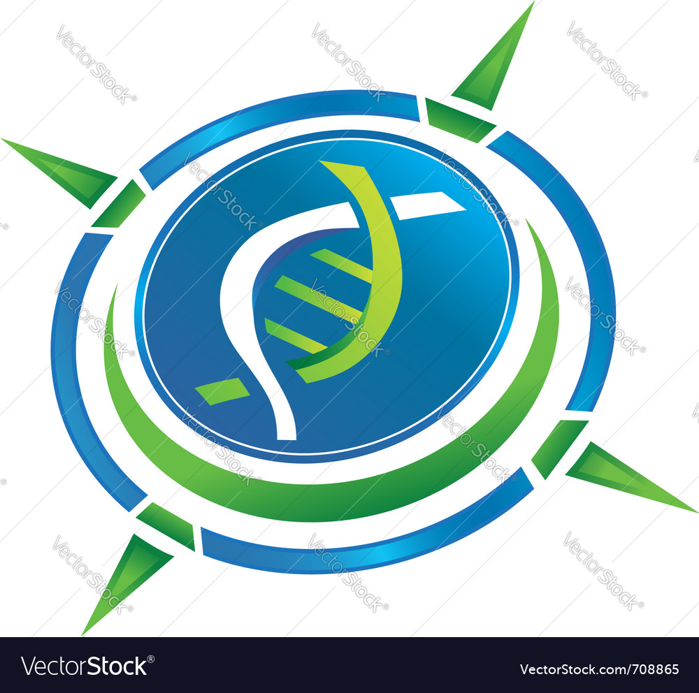 Compass Dna Logo Royalty Free Vector Image Vectorstock
