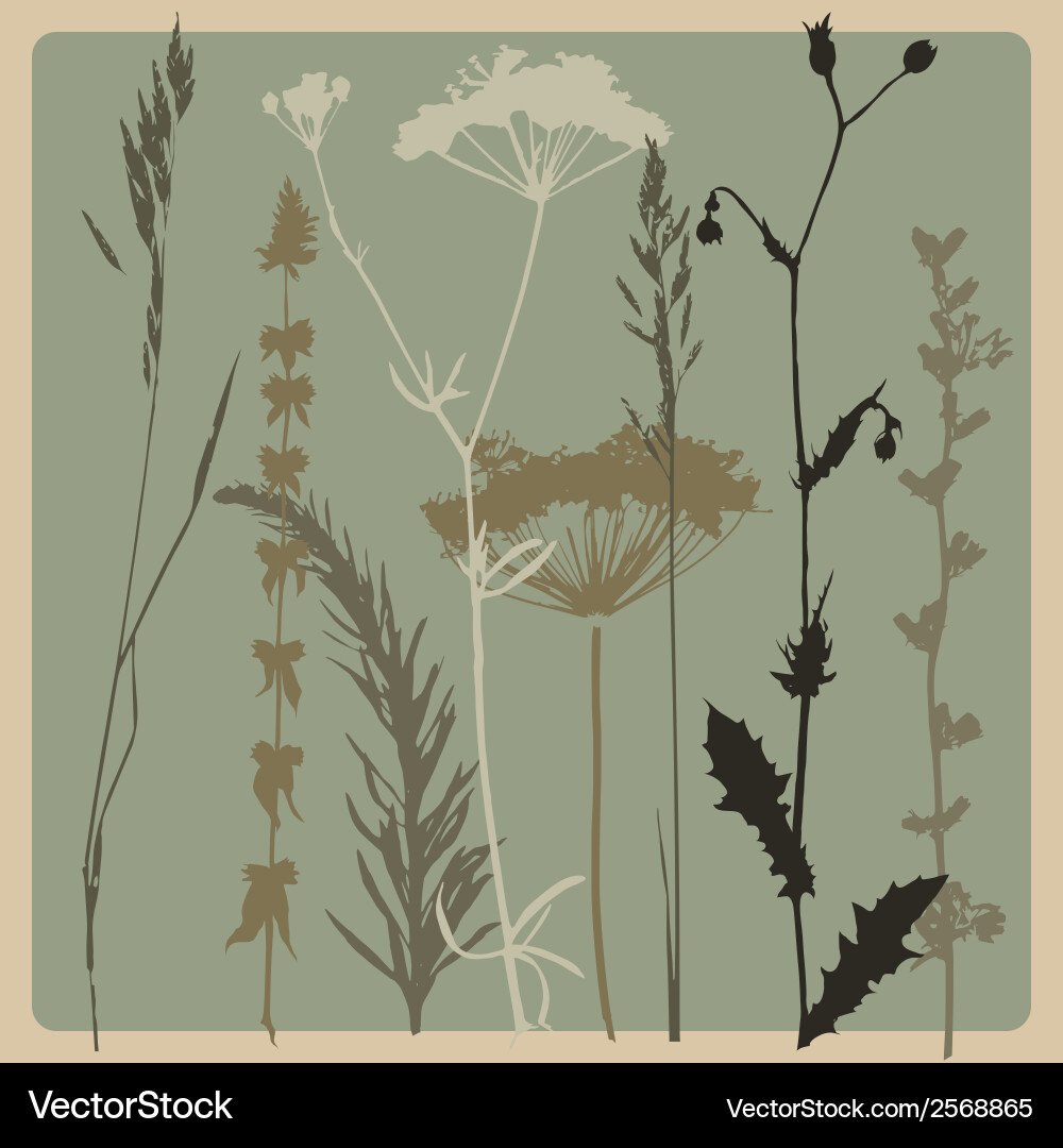 Dry grass Royalty Free Vector Image - VectorStock