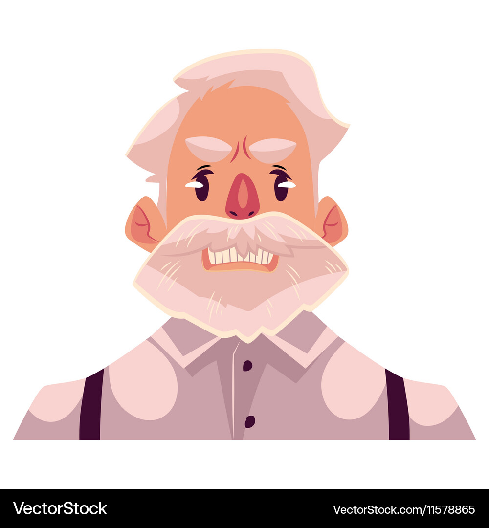 Grey haired old man face angry facial expression Vector Image