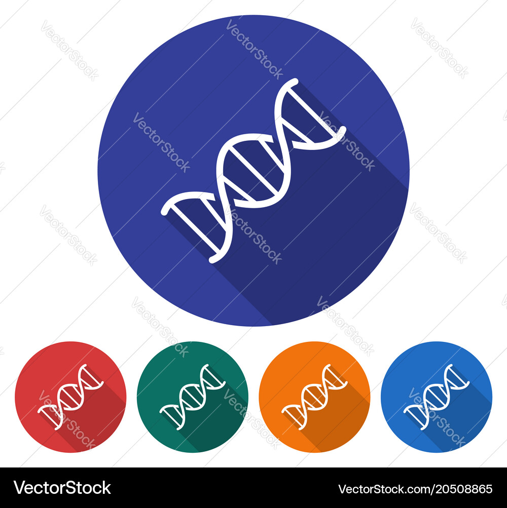 Round icon dna flat style with long shadow in Vector Image