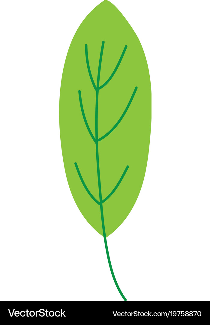Colorful tropical and natural tree leaf design Vector Image