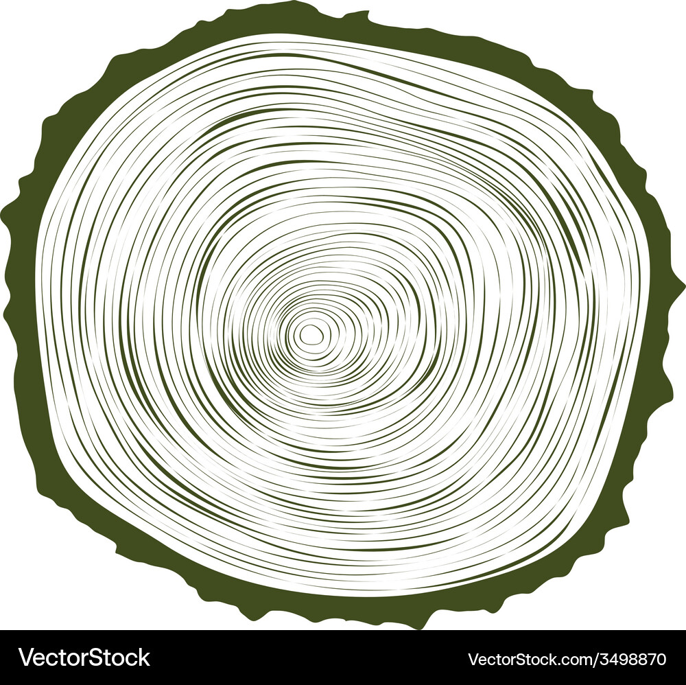Tree wood slice natural years line circle ring Vector Image