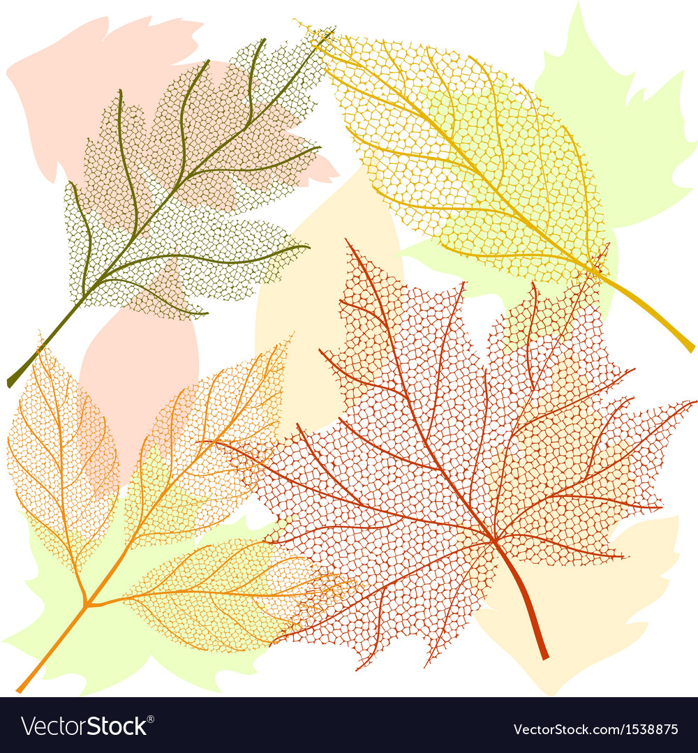 Autumn leaf set Royalty Free Vector Image - VectorStock