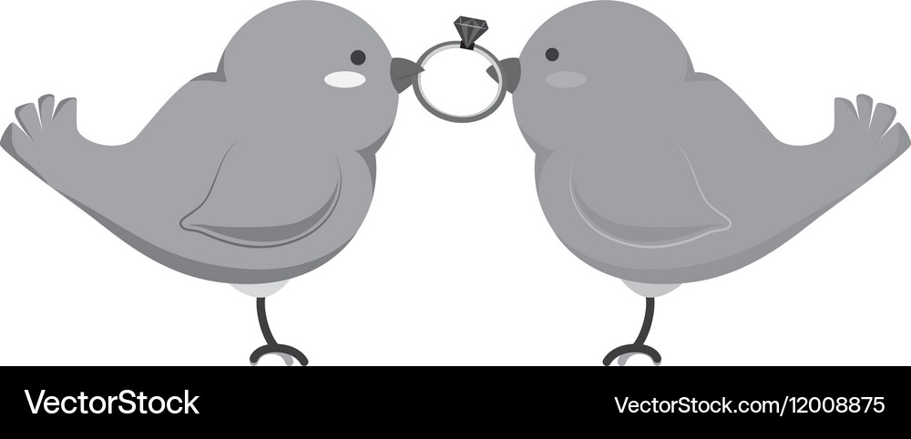 Birds wedding card celebration Royalty Free Vector Image