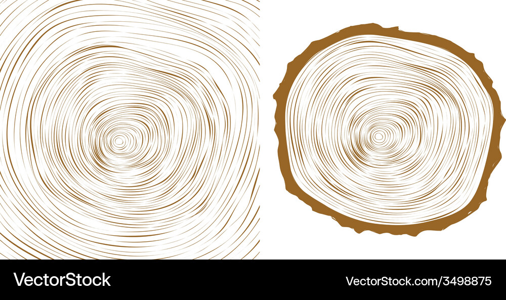 Tree wood slice natural years line circle ring Vector Image