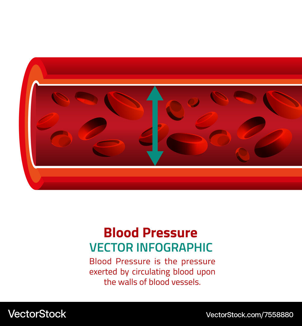 Blood pressure infographic Royalty Free Vector Image