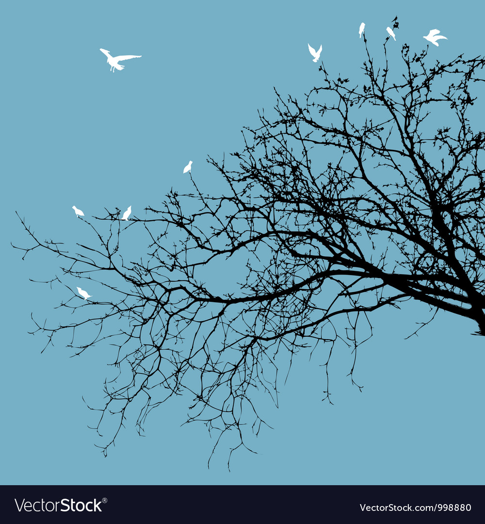 Branches Royalty Free Vector Image - VectorStock