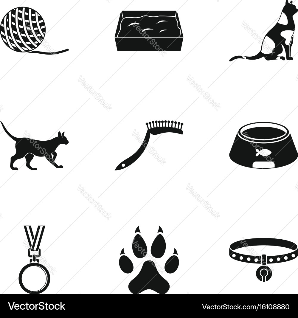 Cat equipment icons set simple style Royalty Free Vector