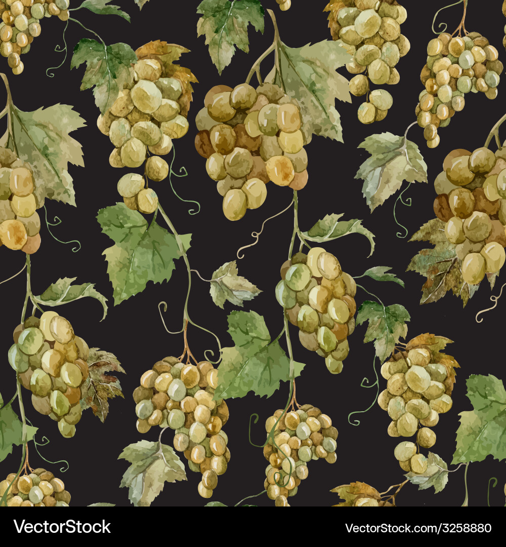 Pattern grapes5 Royalty Free Vector Image - VectorStock