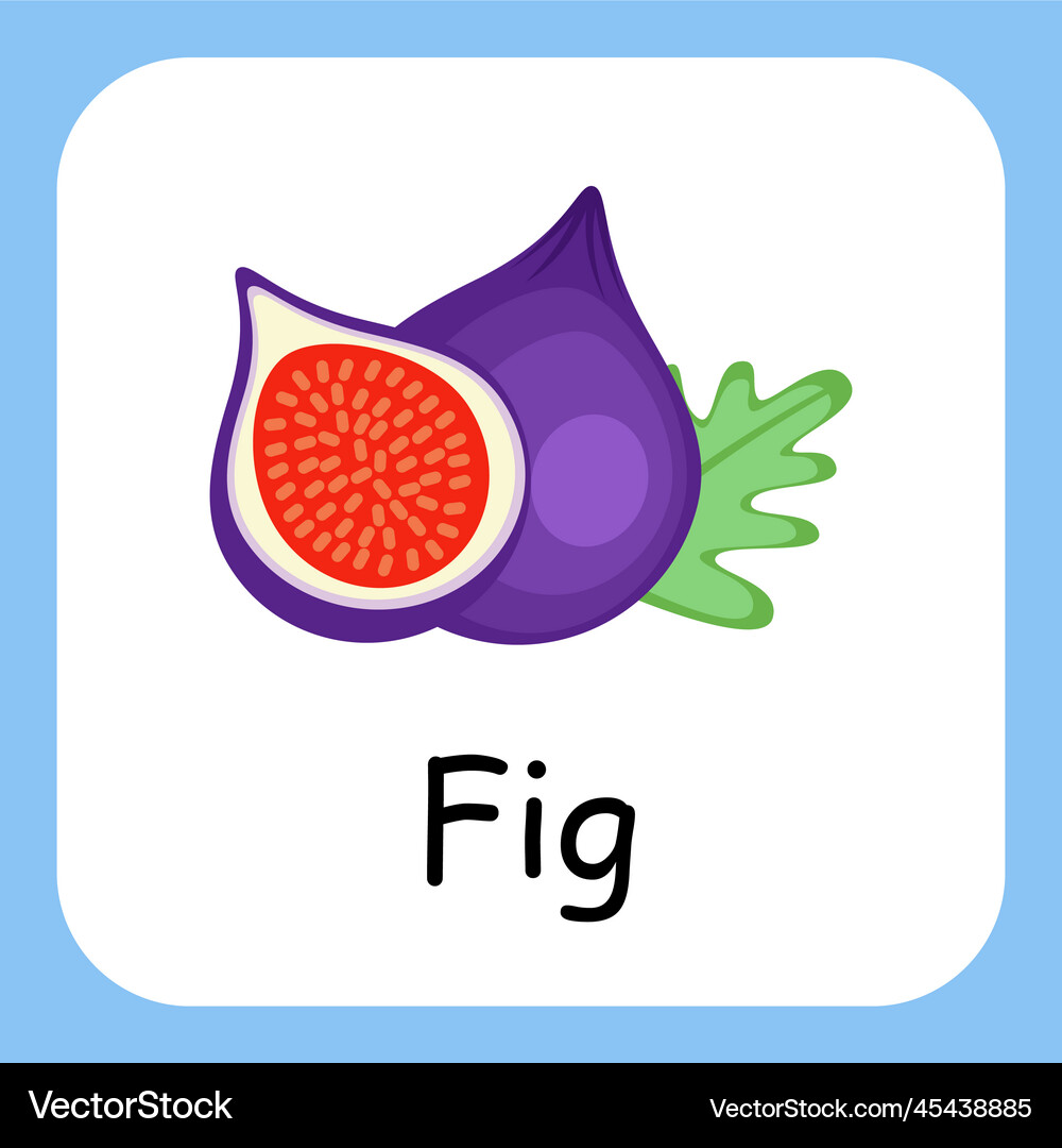 Fig clip art for kids Royalty Free Vector Image