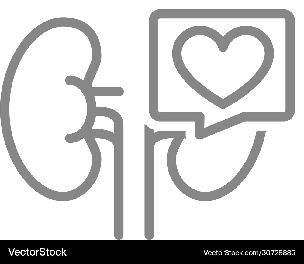 Kidneys with heart in speech bubble line icon Vector Image