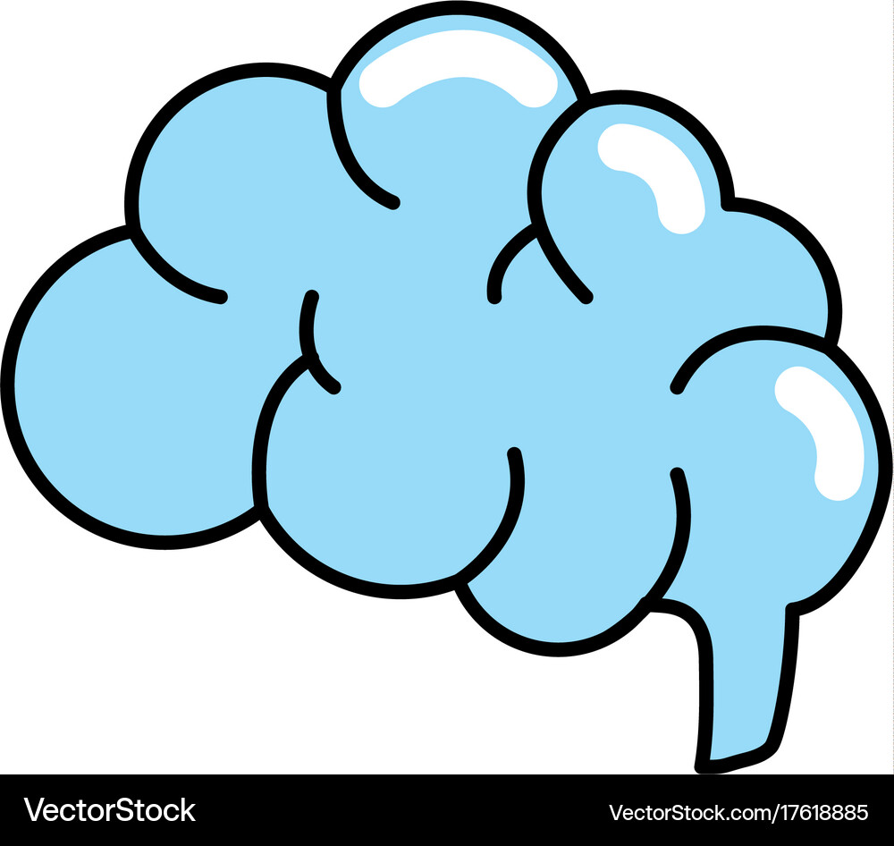 Side brain human anatomy organ of intelligence Vector Image