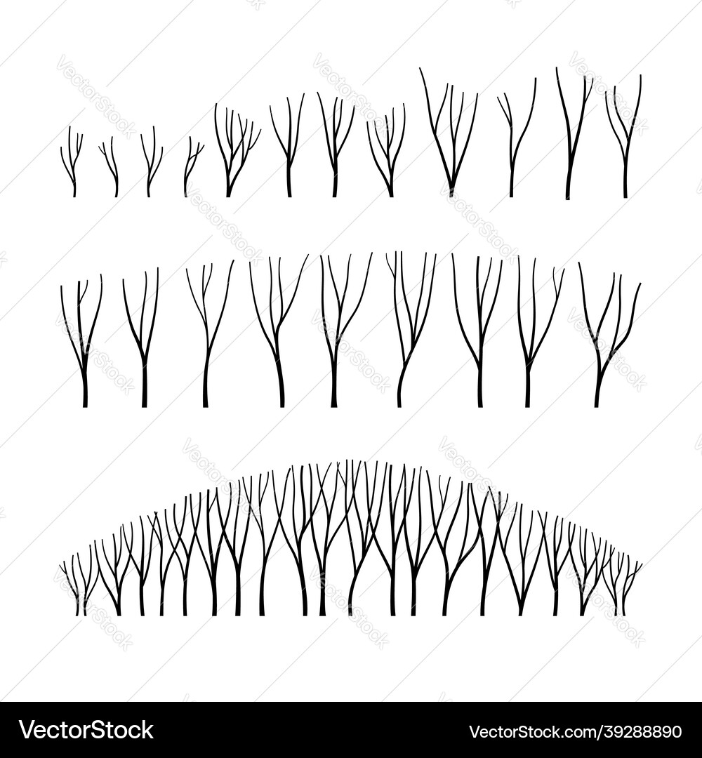 A set of trees and branches without foliage Vector Image