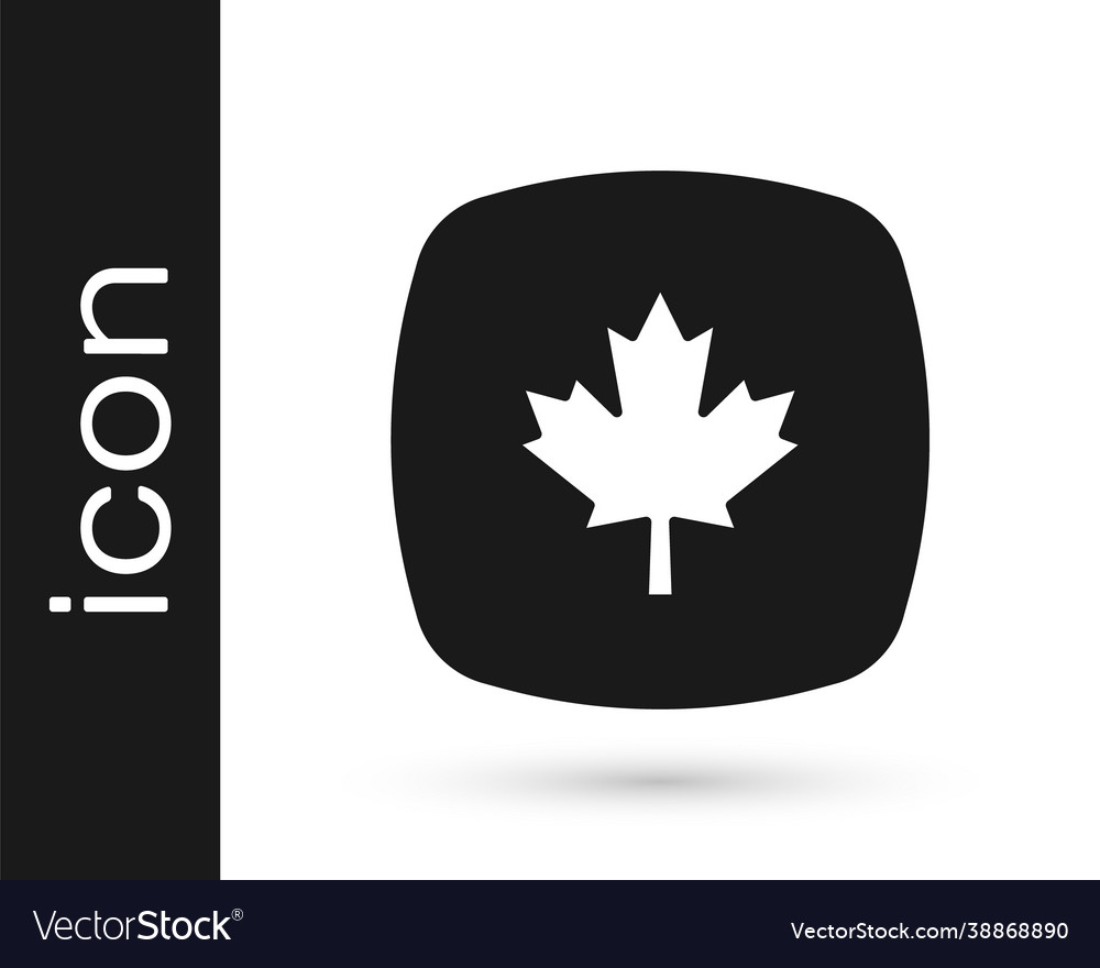 Black canadian maple leaf icon isolated on white Vector Image