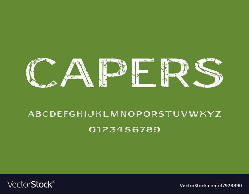 Decorative sans serif font with inner contour Vector Image Decorative sans serif font with inner contour Vector Image