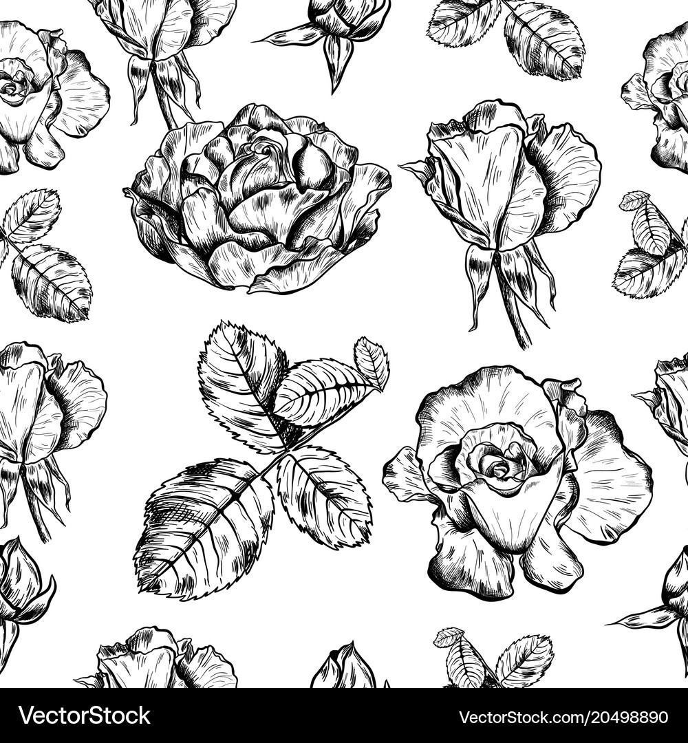 Seamless pattern of highly detailed hand drawn Vector Image