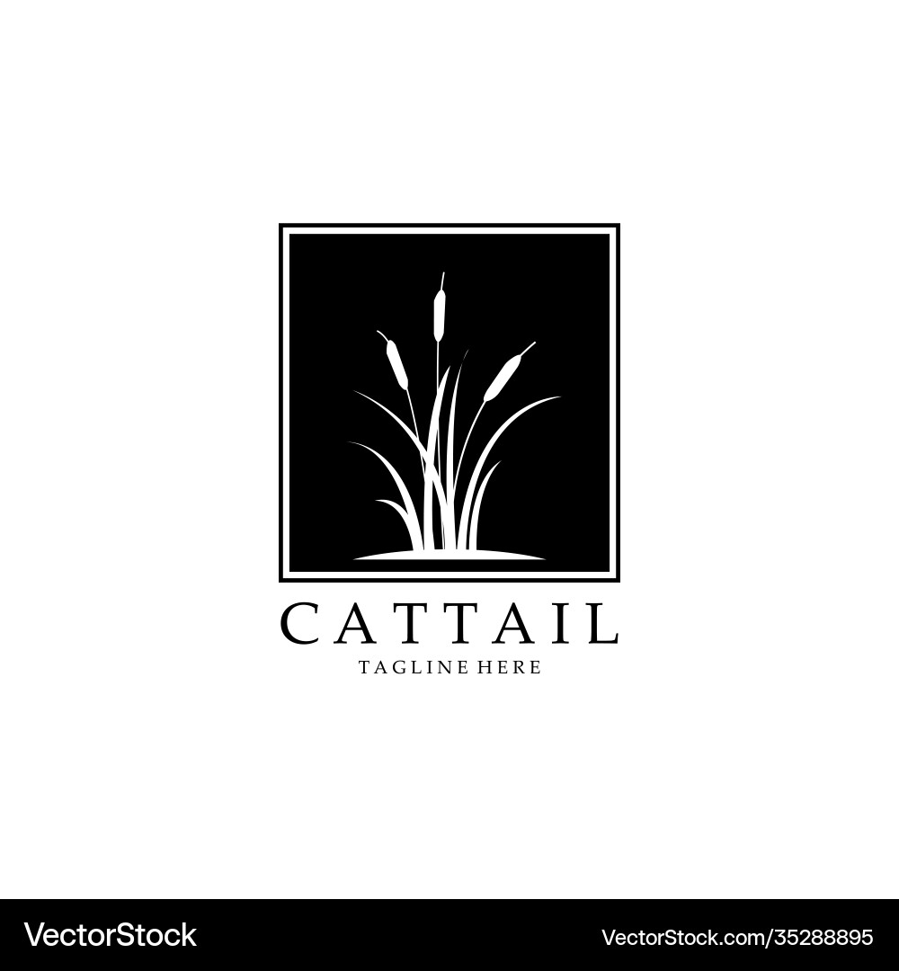 Cattail reed logo designs inspirations Royalty Free Vector
