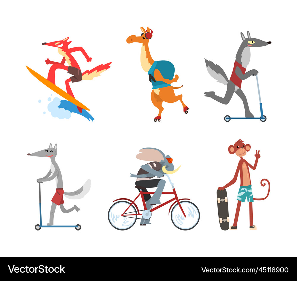Funny animal riding and driving different Vector Image
