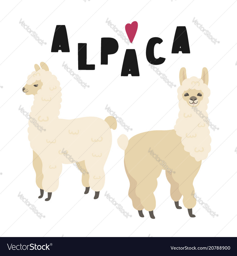 Two cute alpacas with lettering isolated Vector Image
