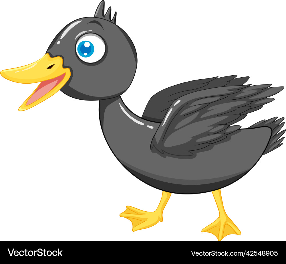 Duck mallard cartoon character Royalty Free Vector Image