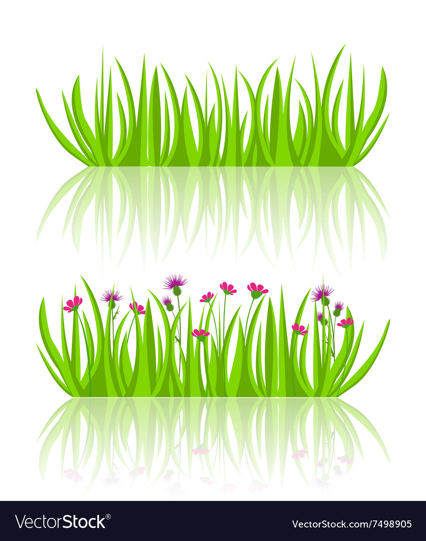 Grass Royalty Free Vector Image - VectorStock